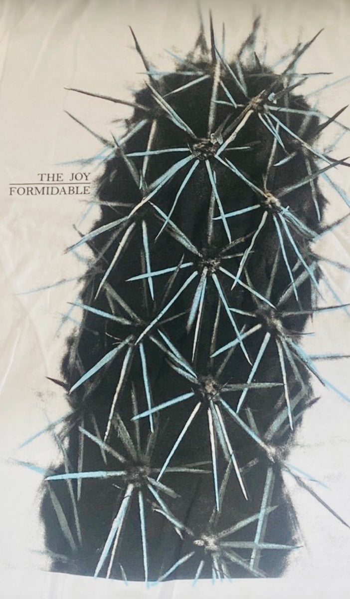 (UK) Cholla T shirt – The Joy Formidable