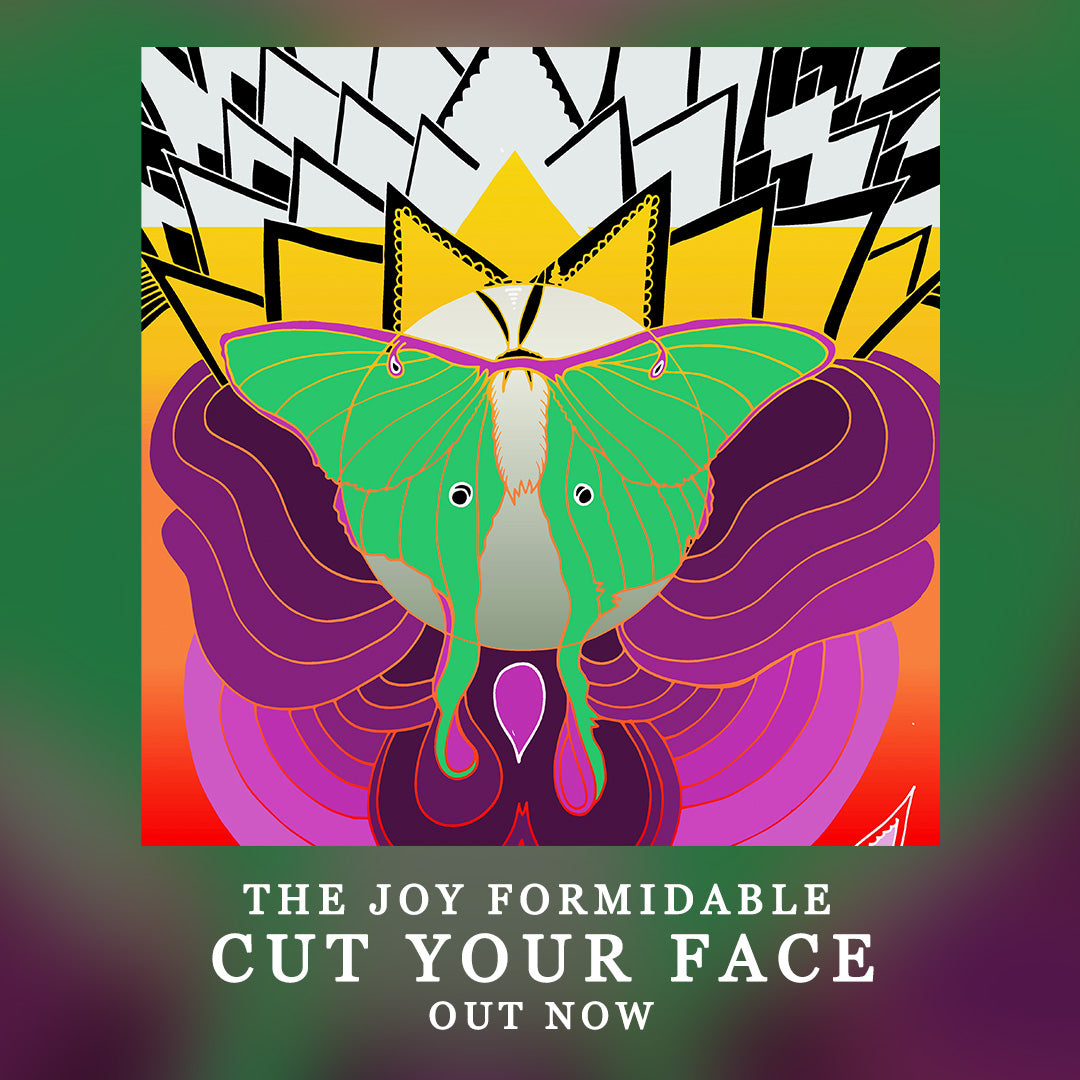 Cut Your Face – The Joy Formidable